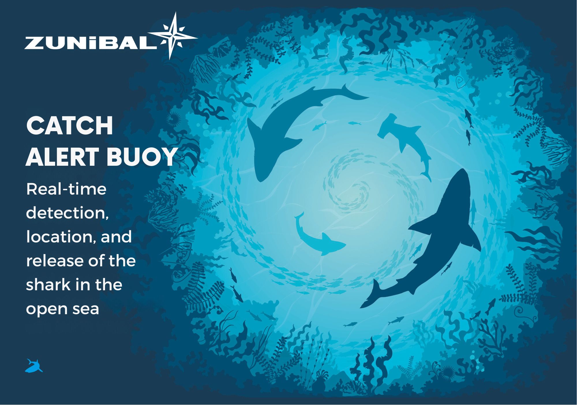Innovación para liberar a los tiburones en alta mar