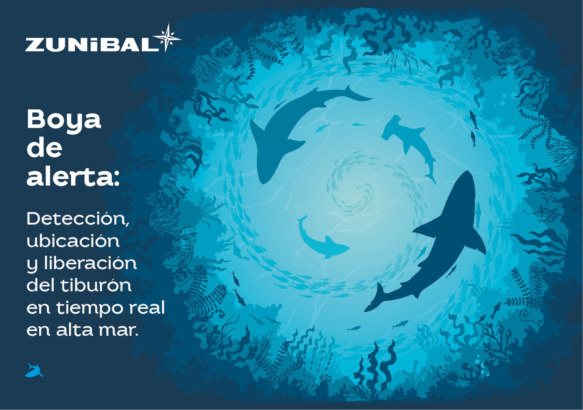 Innovación para liberar a los tiburones en alta mar