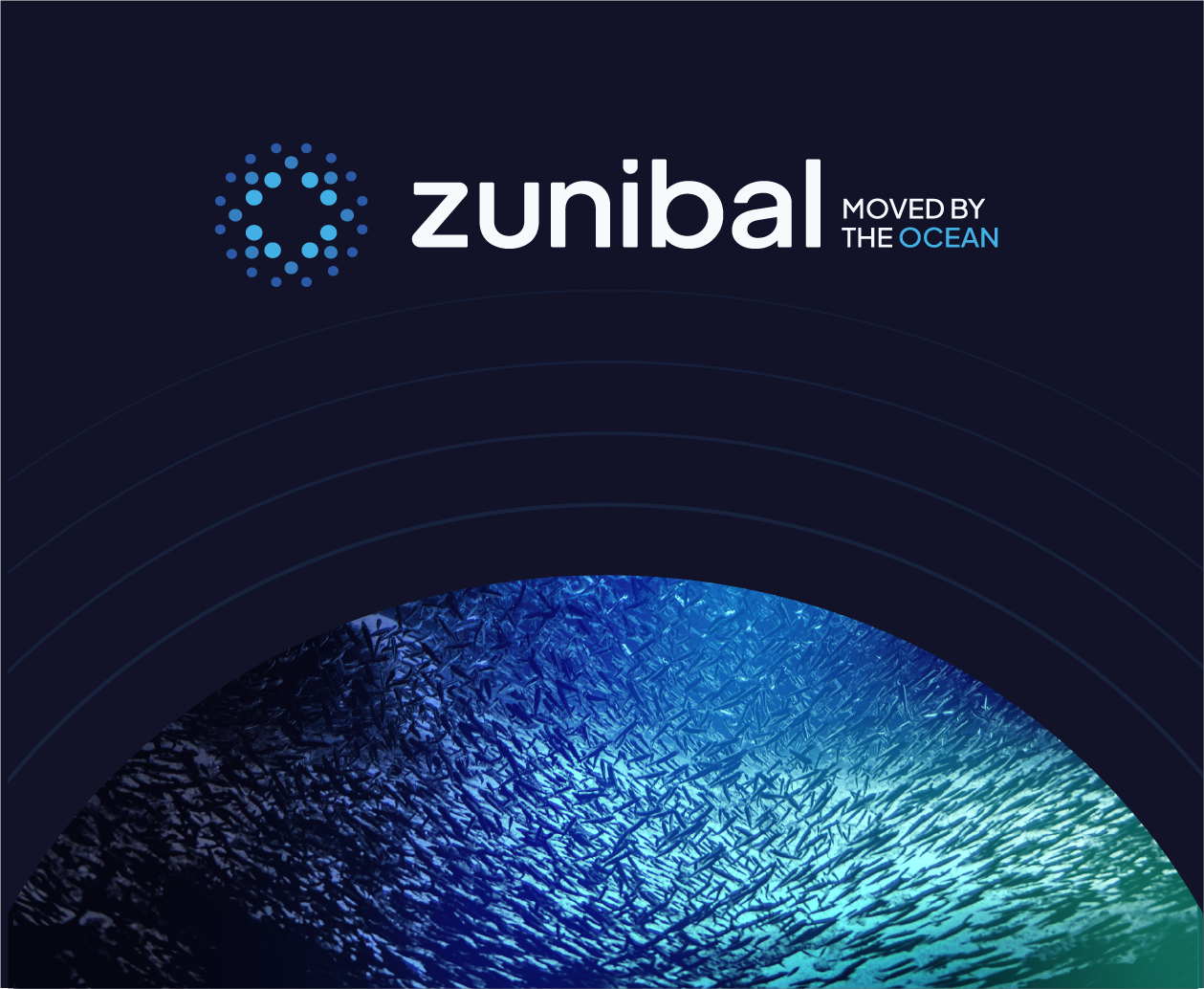 Zunibal presenta su nueva identidad visual